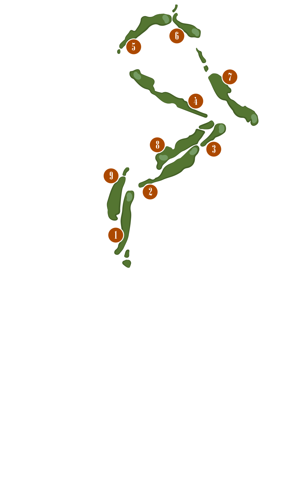 Puerto Los Cabos – Questro Golf